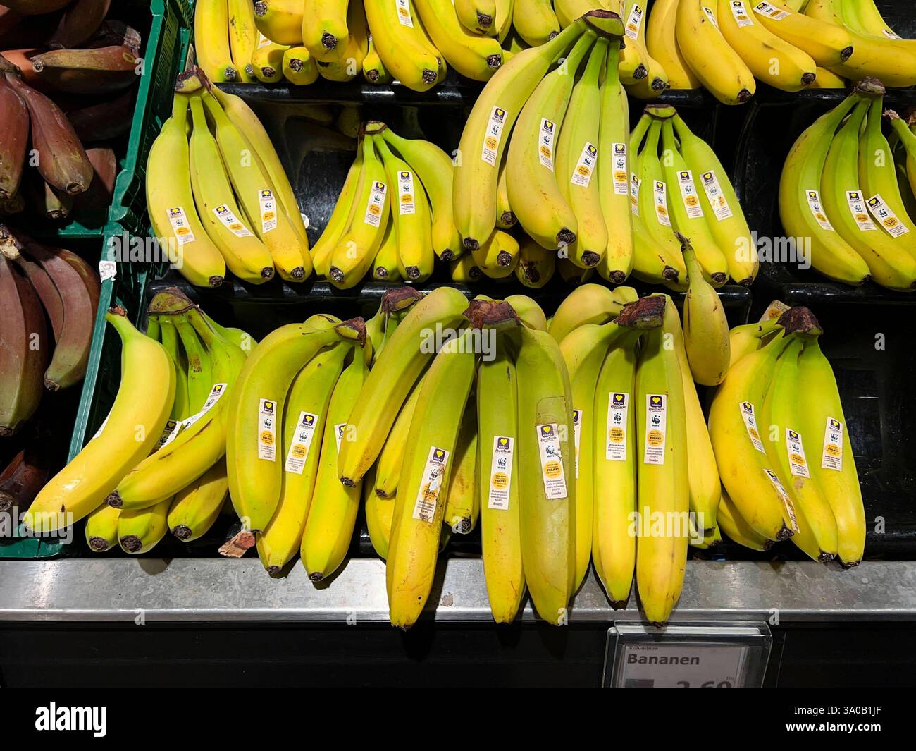 Gelbe Bananen liegen in der ObstabteilungAuslage in einem Supermarkt in ...