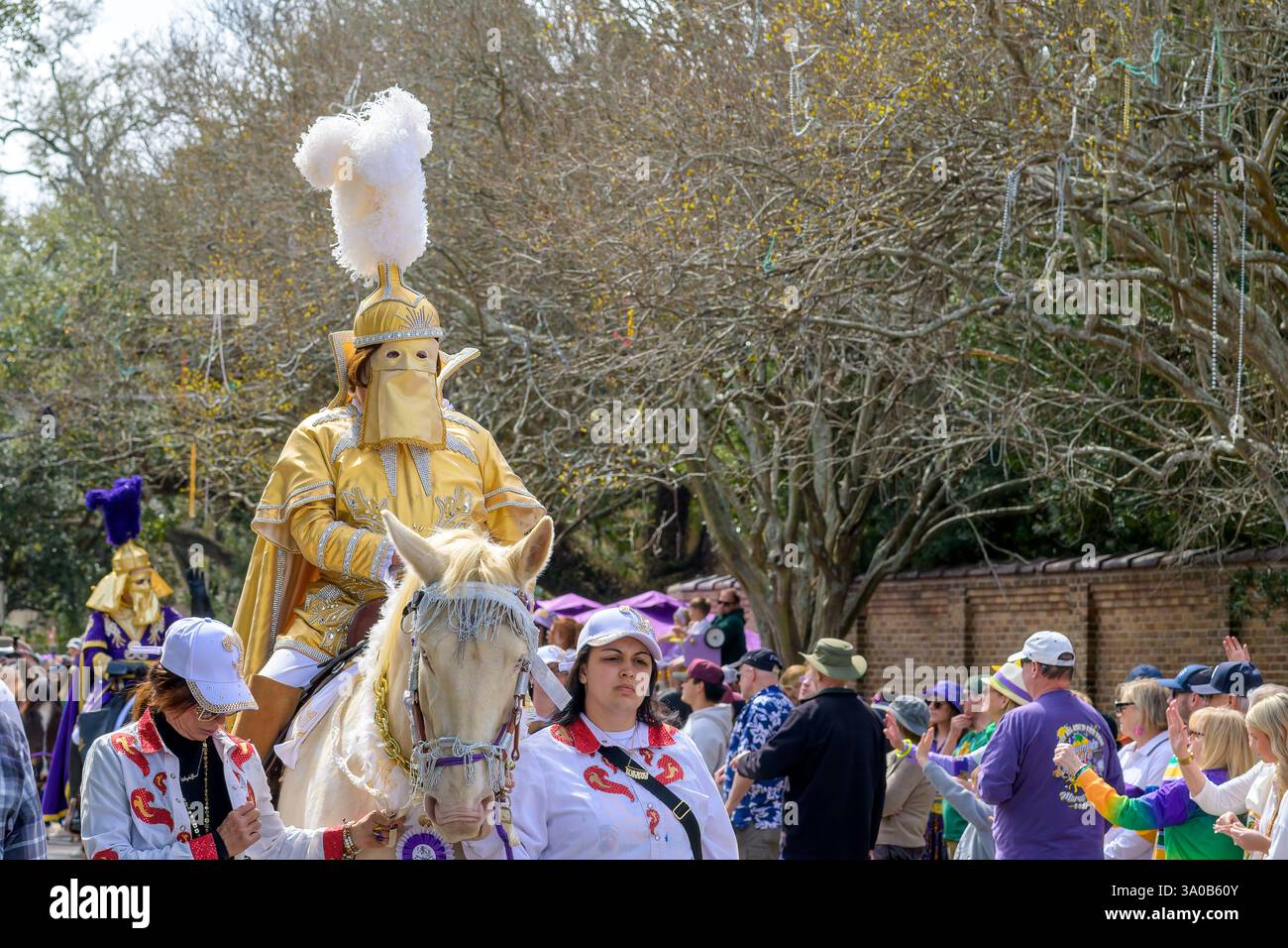 New Orleans, LA, USA - March 2, 2025: Duke of Krewe of Thoth on ...