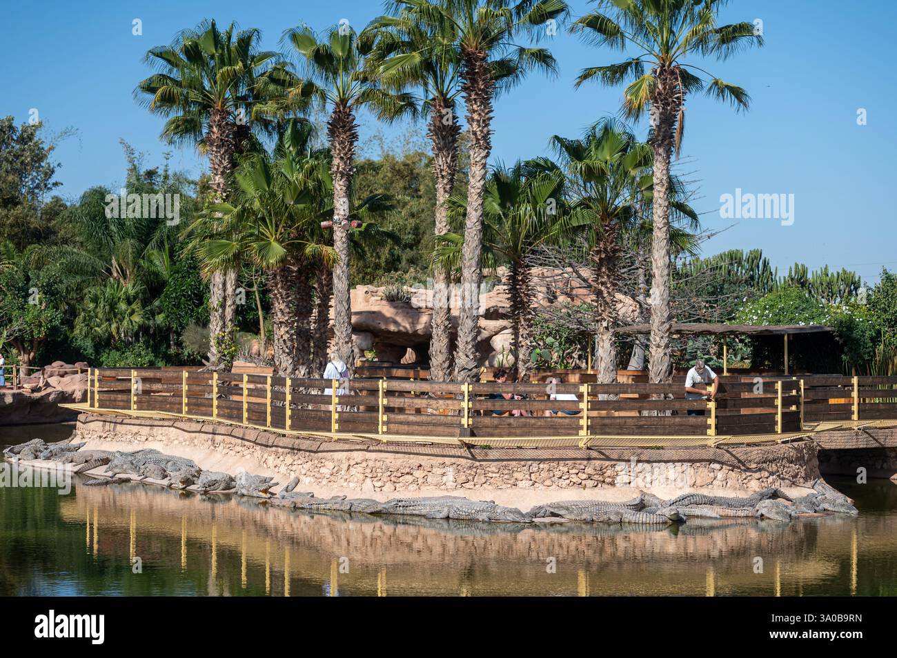 Agadir, Morocco - February 21, 2025: Visit crocopark in Agadir, Morocco ...