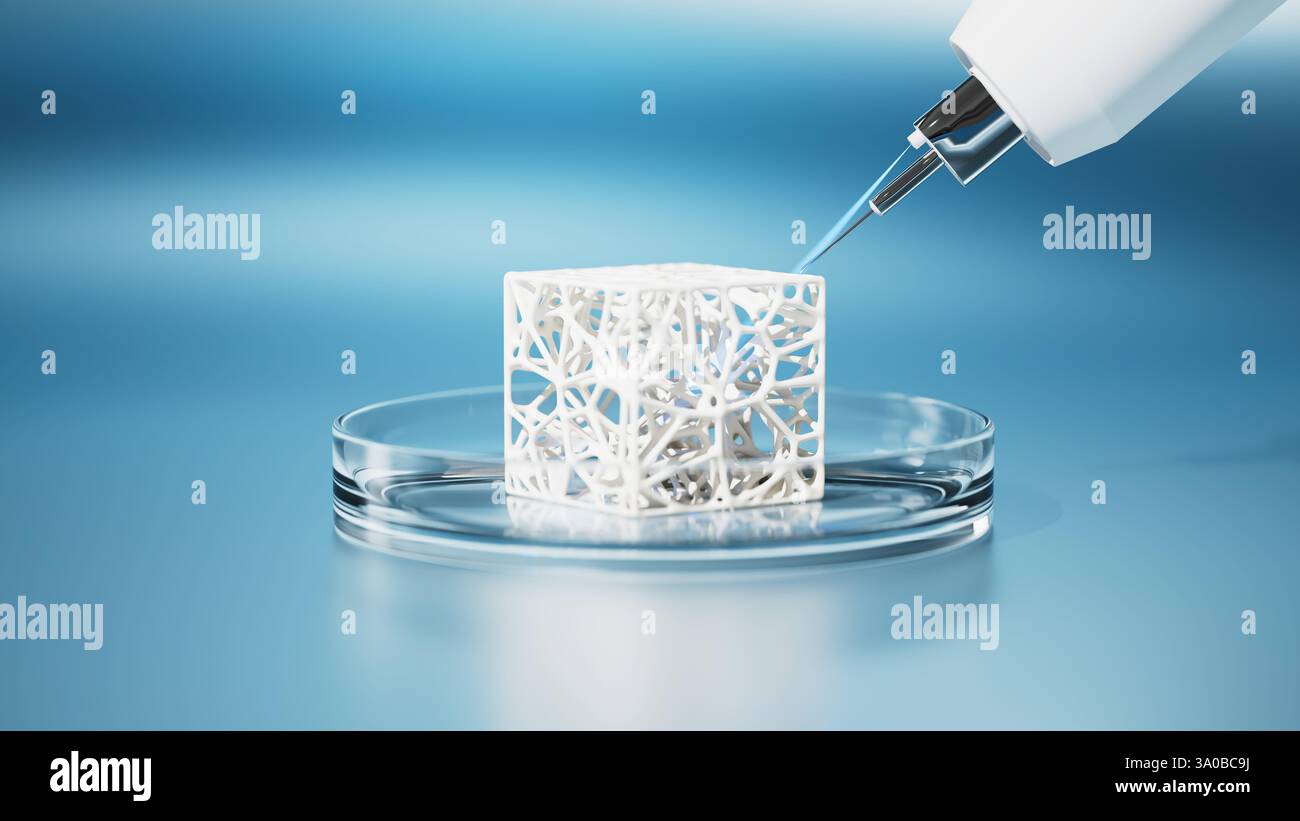 Bioprinted bone sample in petri dish. Innovation in transplantology ...