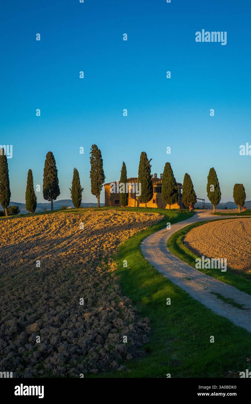 Tranquil Italian countryside scene with cypress trees flanking a ...
