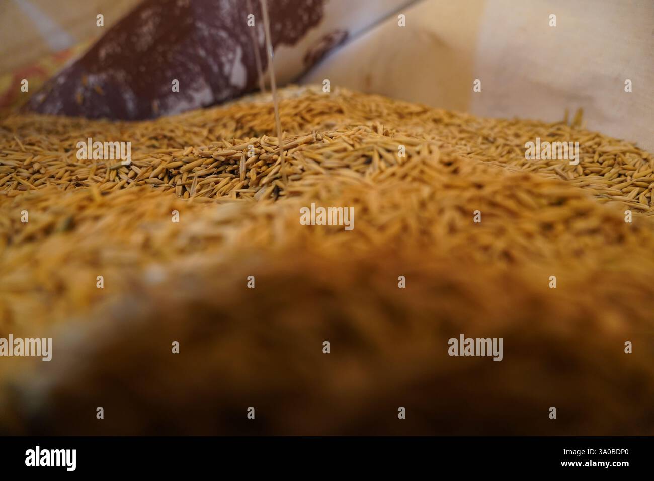 A scattering of grains in a glass container Stock Photo - Alamy