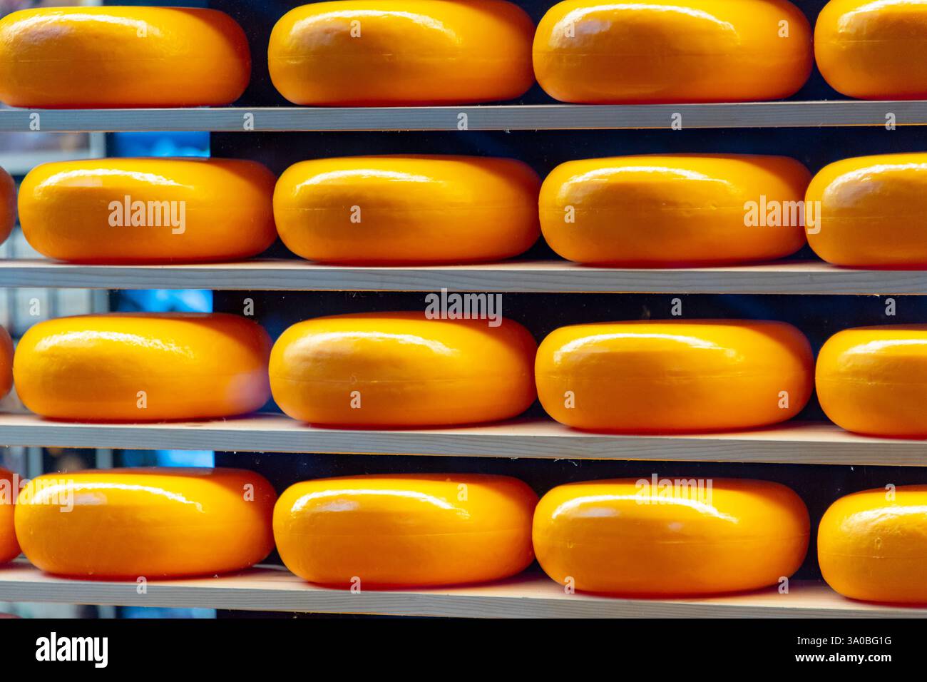 Dutch Gouda Cheese on Shelves Stock Photo - Alamy