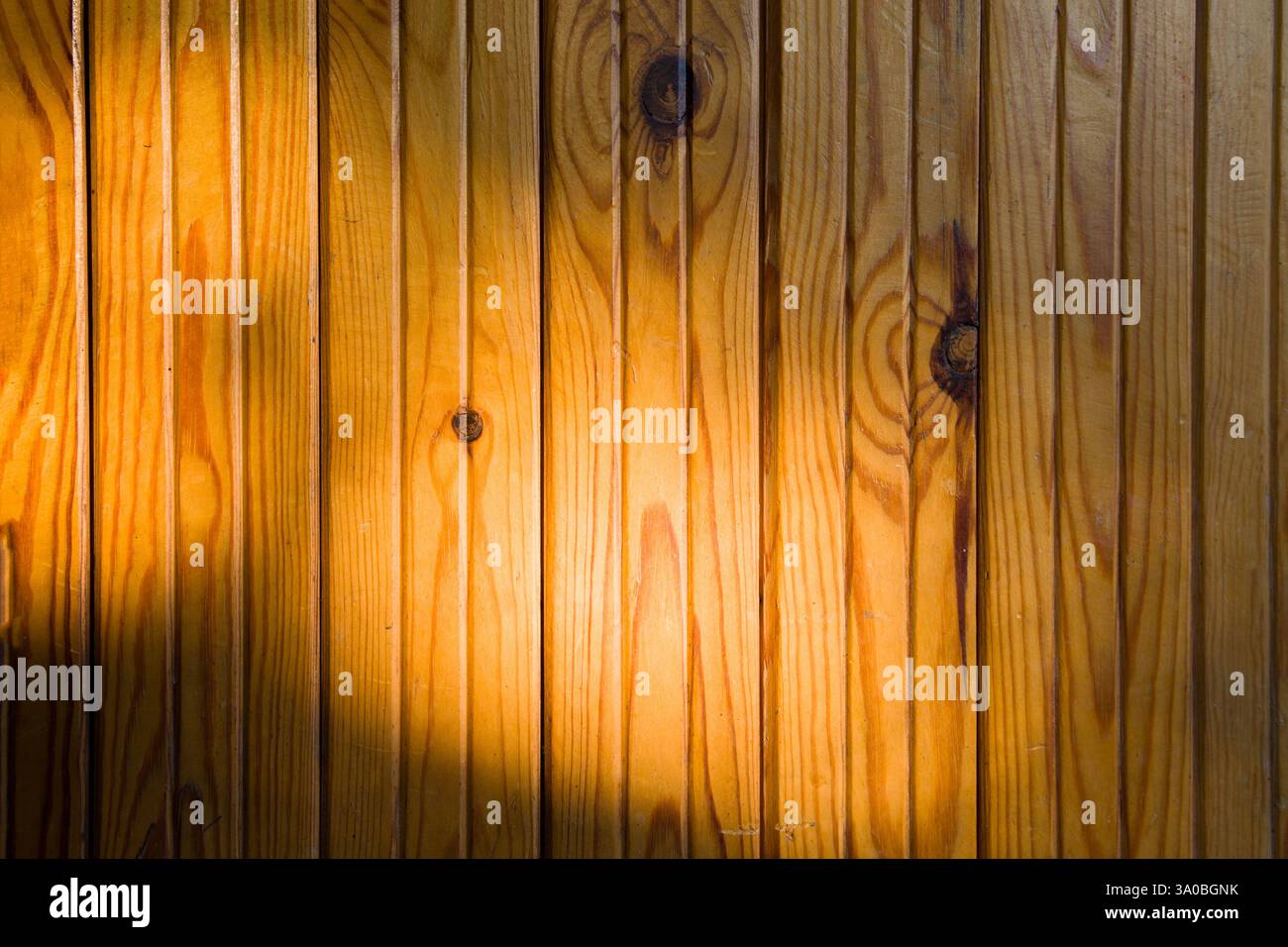 Background and texture of wooden slats on the wall in warm sunlight ...