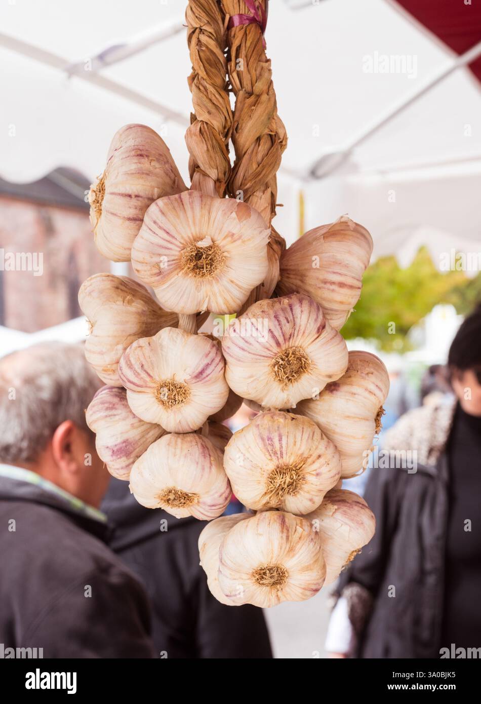 Garlic on market stall, Buehl, Baden Wuerttemberg, Germany, Europe ...