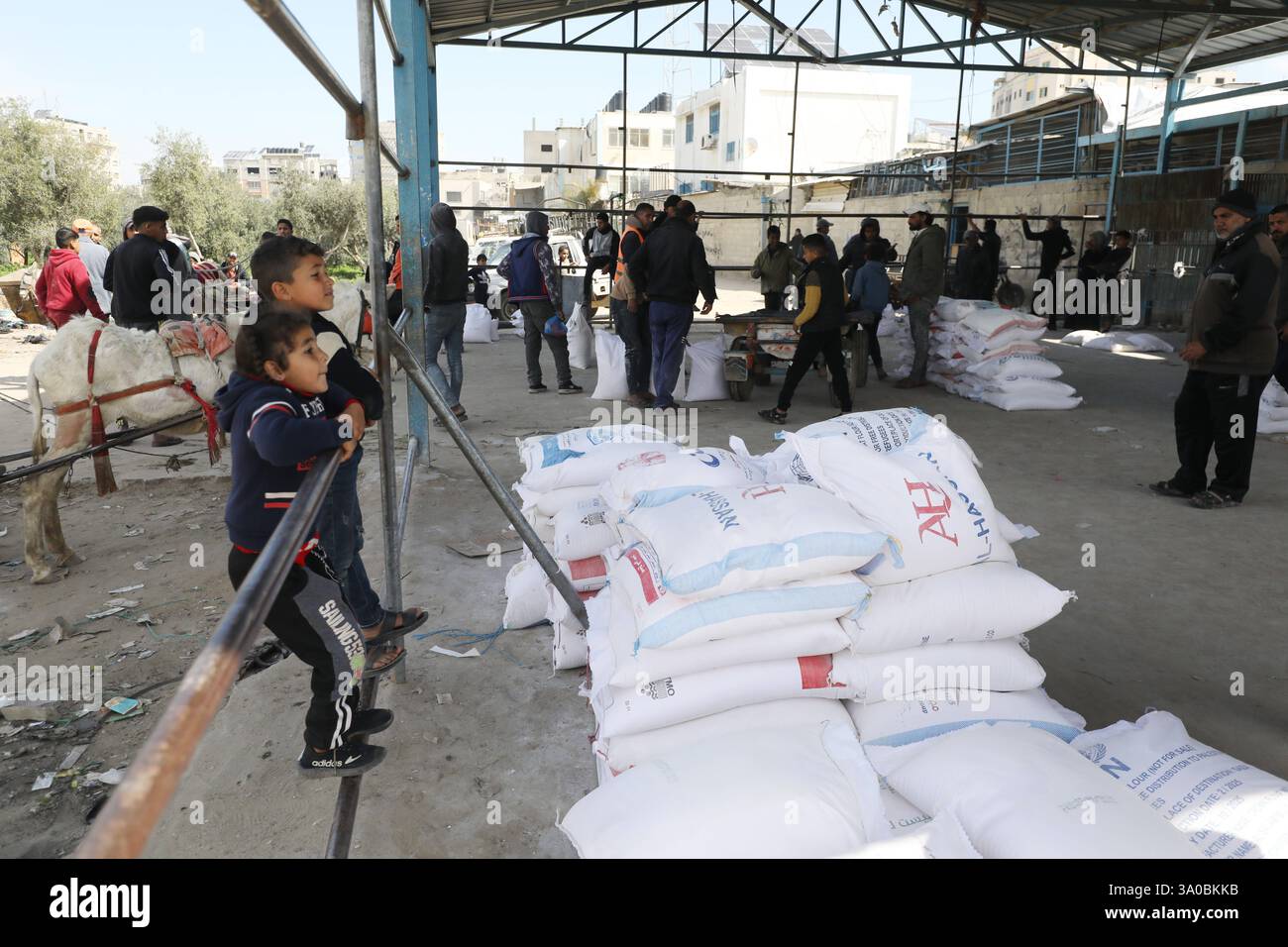 Workers move sacs of flour as Palestinians queue to receive food aid ...