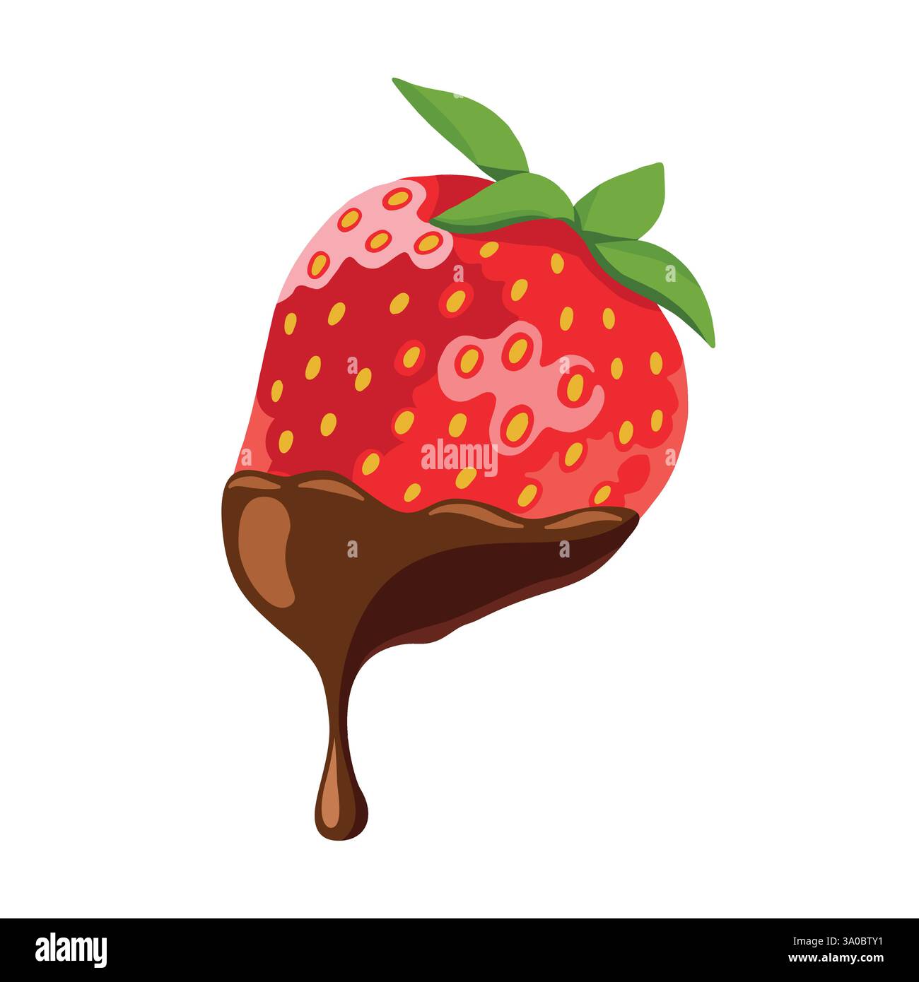 Chocolate covered strawberry. Melting chocolate dripping from a juicy ...