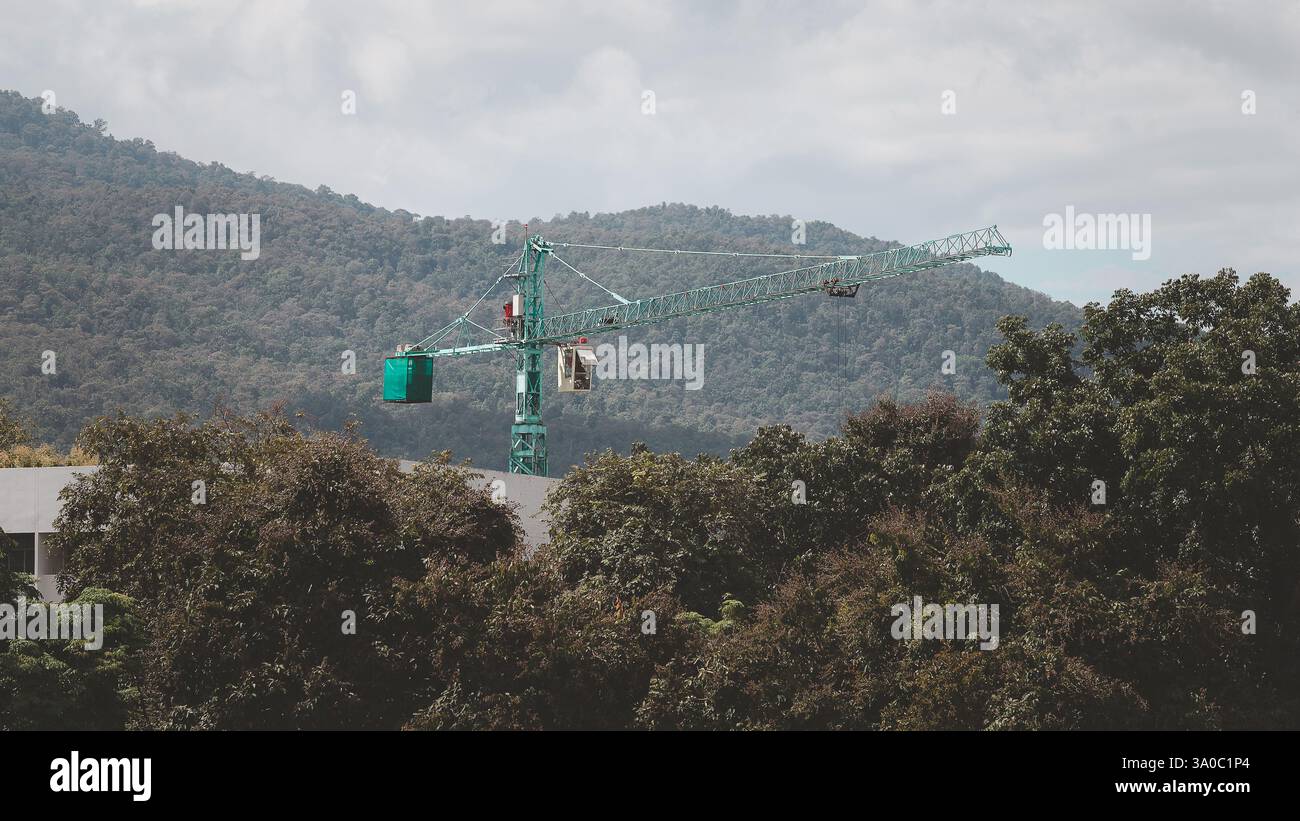 Construction crane and building among the trees. Forest encroachment ...