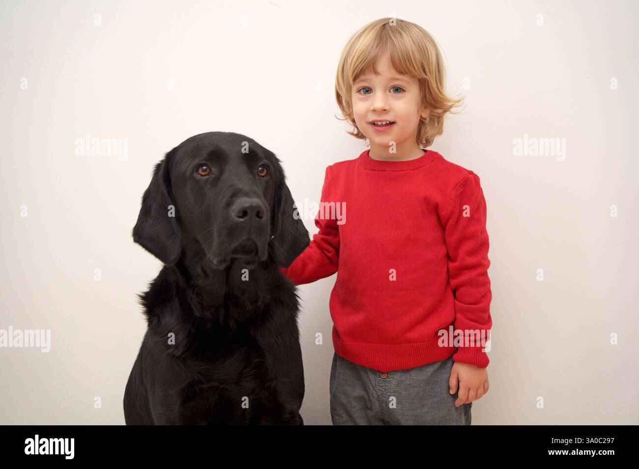Old black labrador and boy hi-res stock photography and images - Alamy