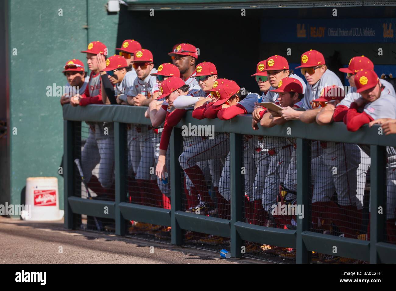 March 2, 2025: Members of USCâ€™s baseball team in the dugout during an ...
