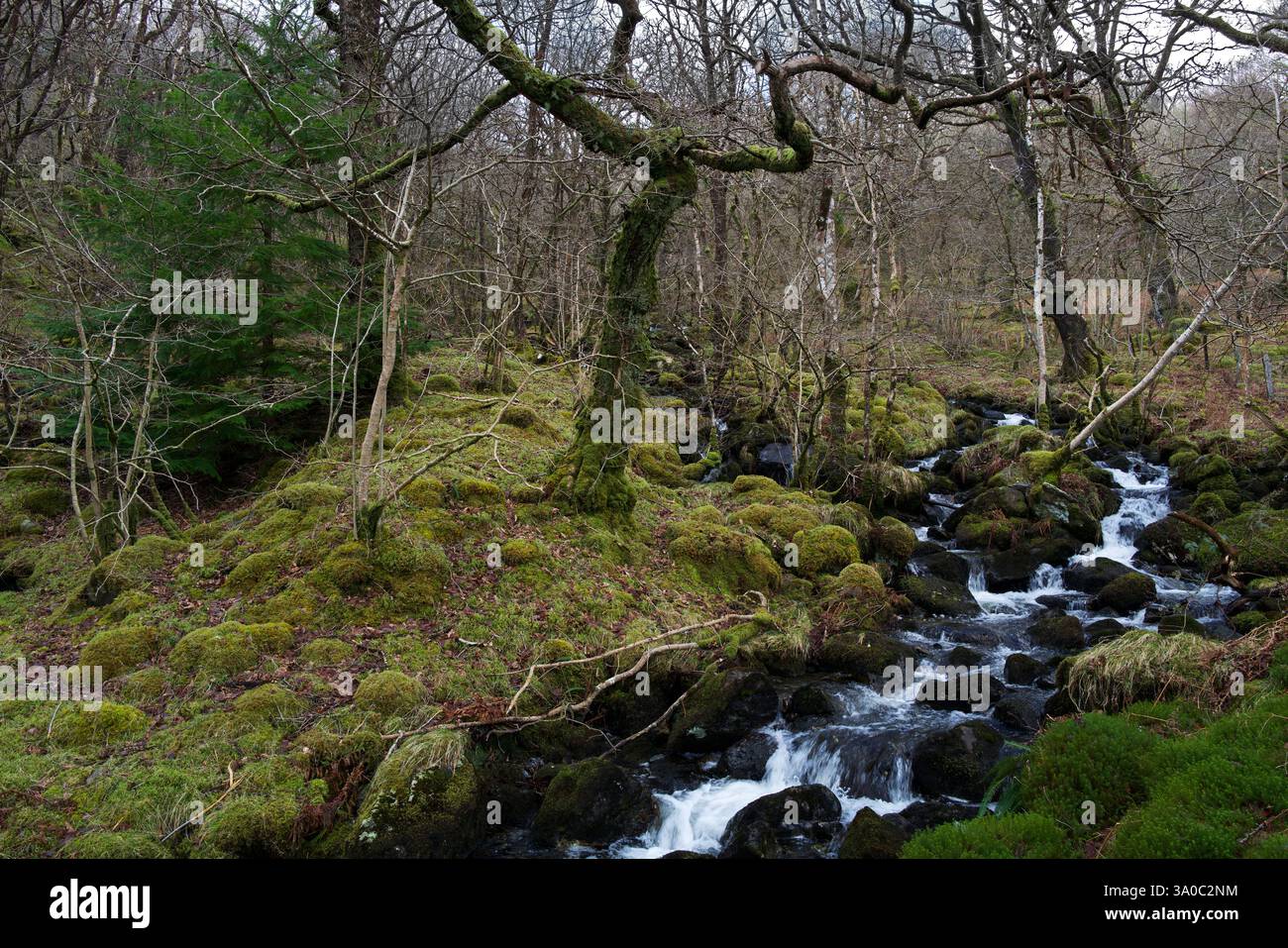 Tributary of the llugwy river in snowdonia hi-res stock photography and ...