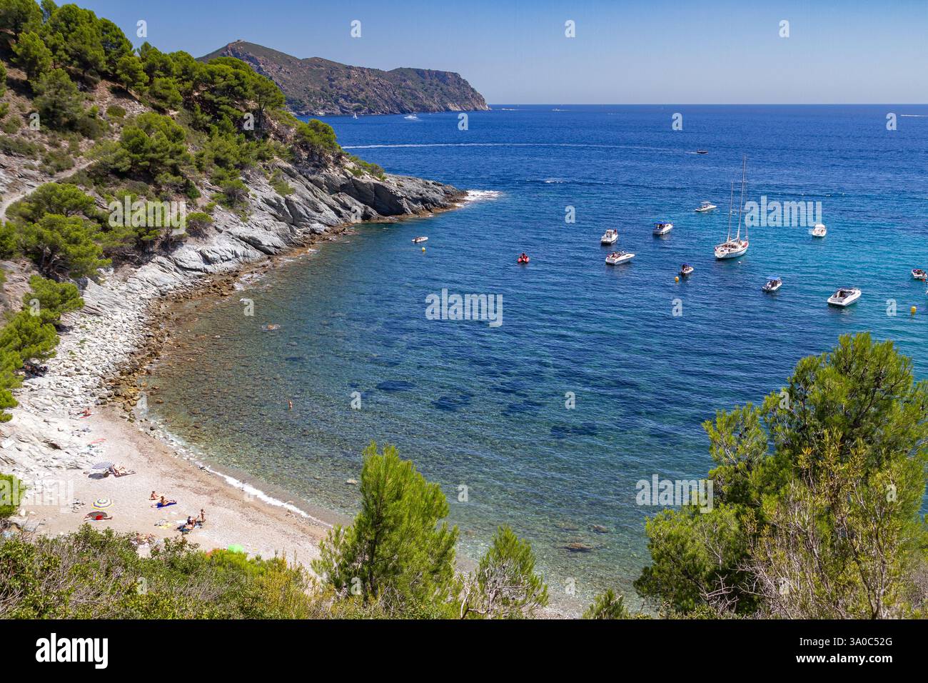 Cala Murtra. Roses Stock Photo - Alamy