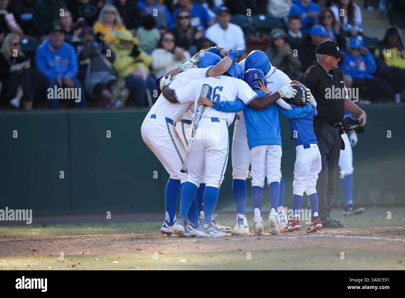 March 2, 2025: UCLAâ€™s Roch Cholowsky (1) trots home following his ...