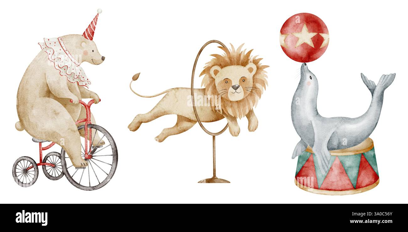 Watercolor illustration of Circus animals. Drawing of bear on a ...