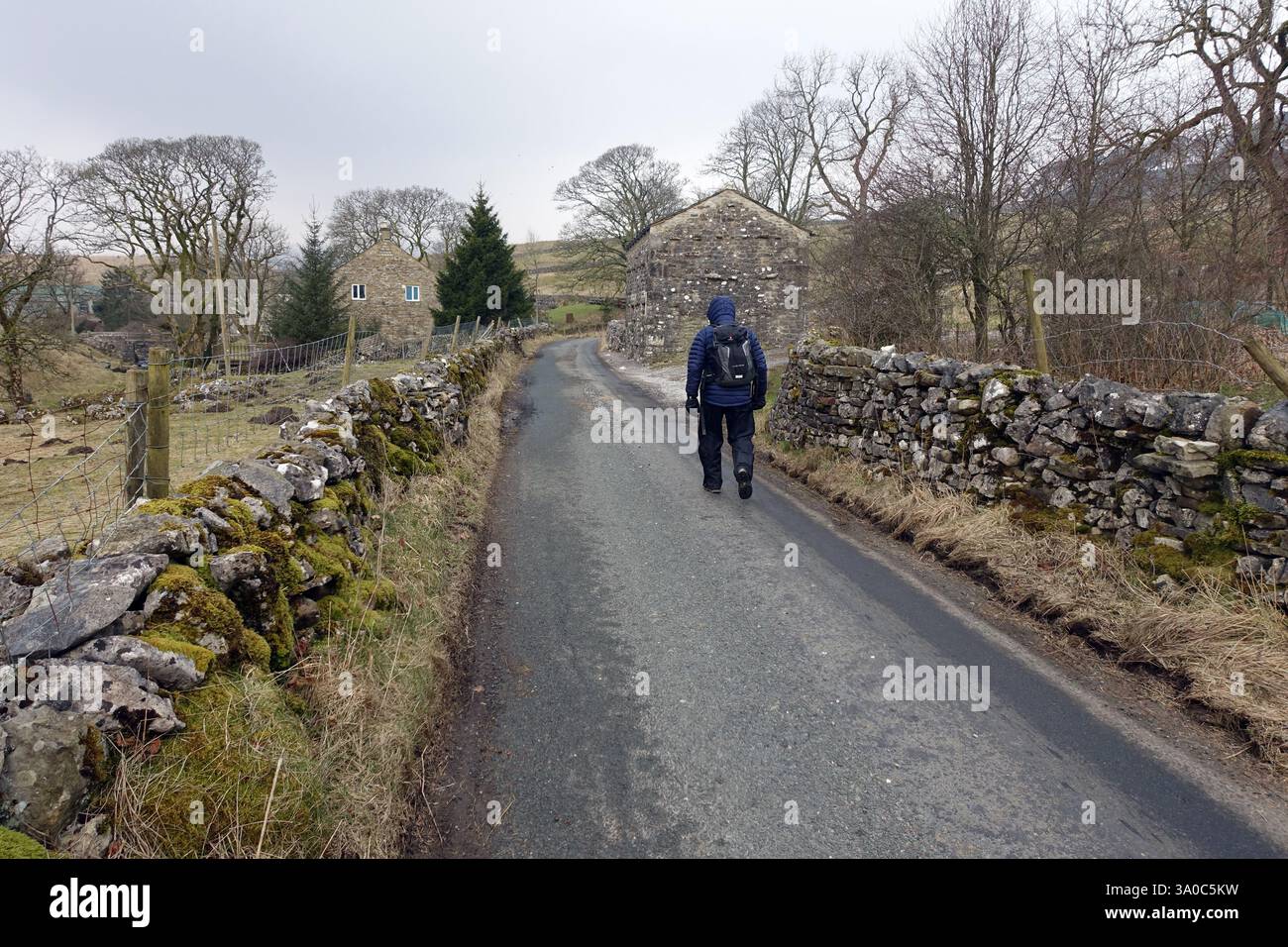 Lone Man (Hiker) Walking Down Country Lane on the Dales Way to ...