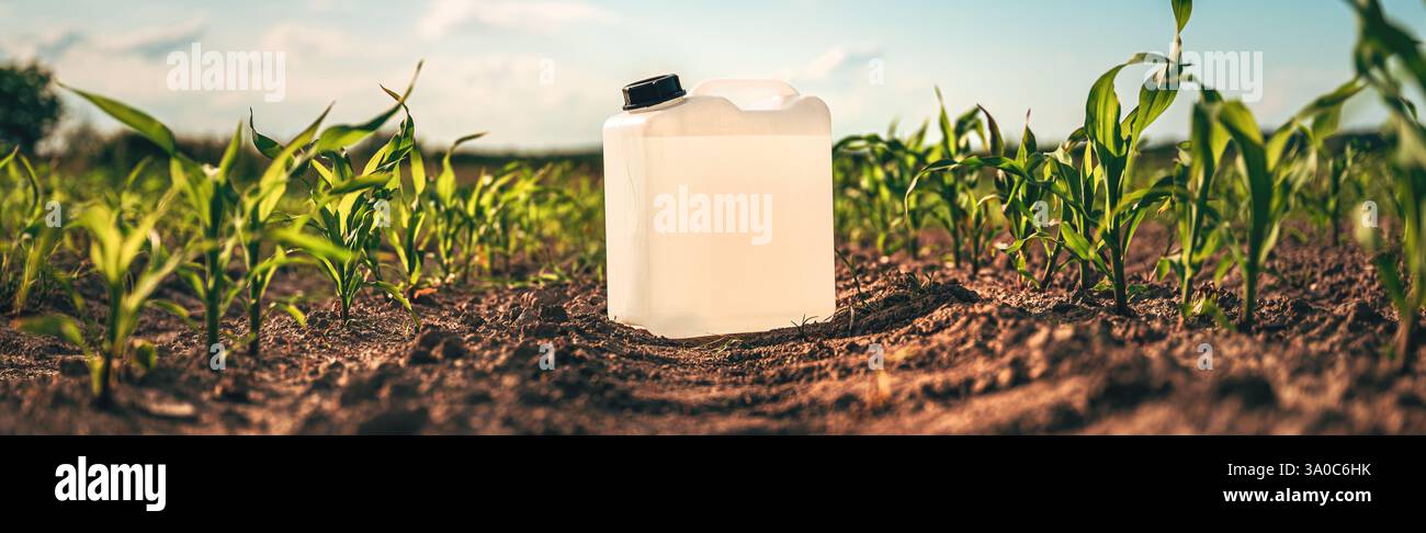 White herbicide container in cultivated maize crop field, selective ...