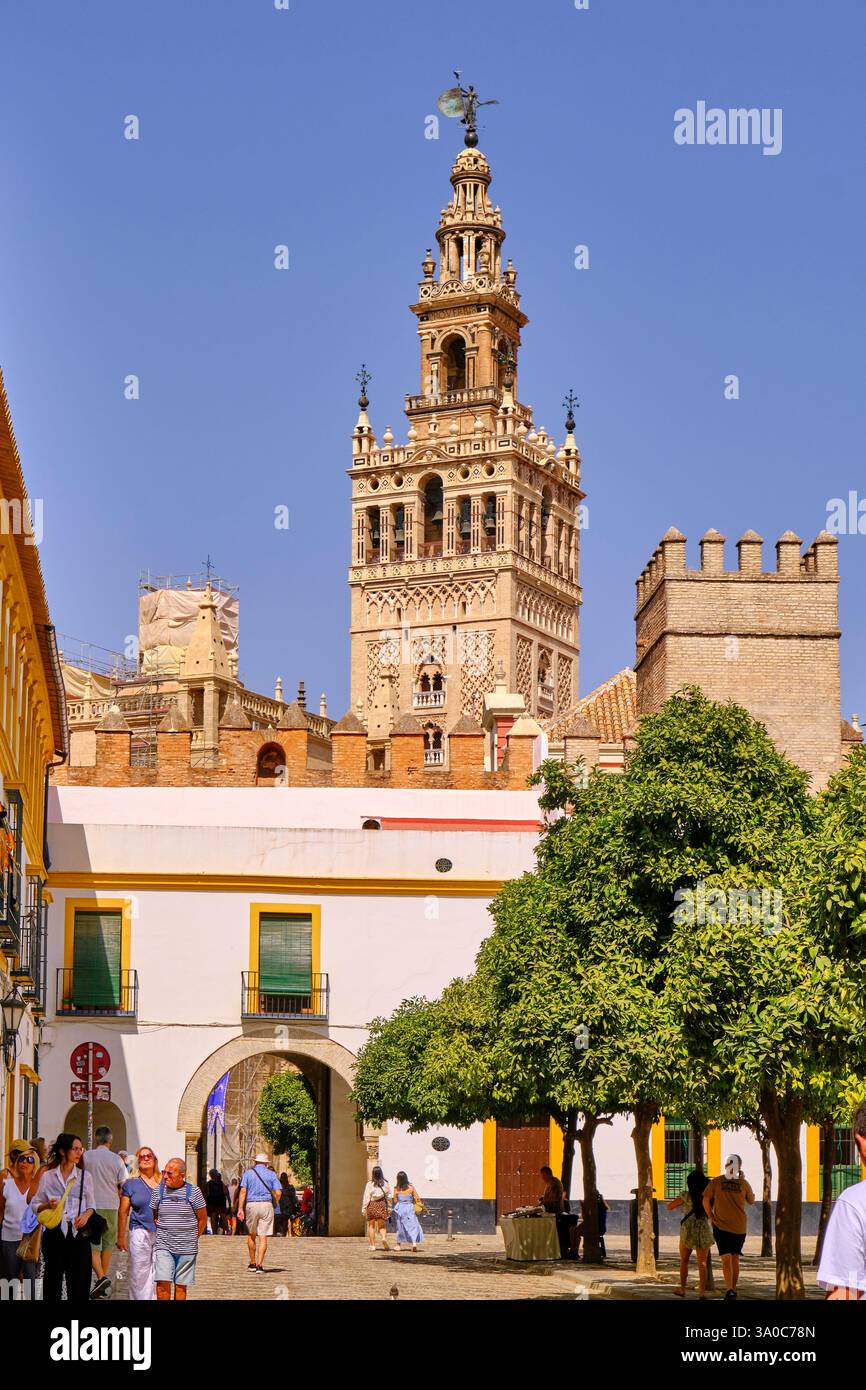 The Giralda seen from the Patio of the Orange trees inside the Real ...