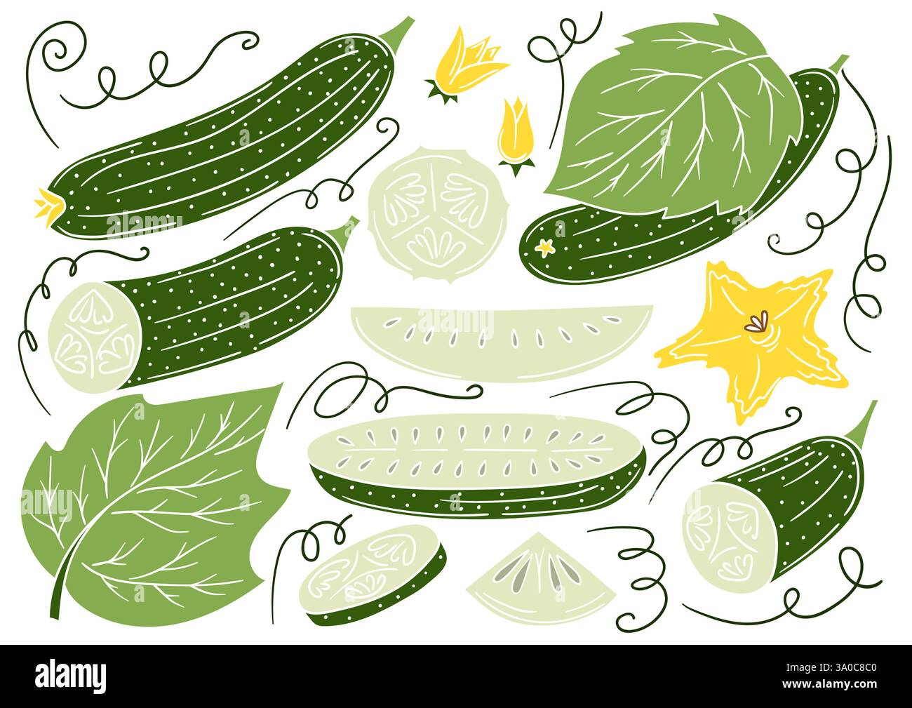 Cucumber. Set of color illustrations in hand draw style. White outline ...