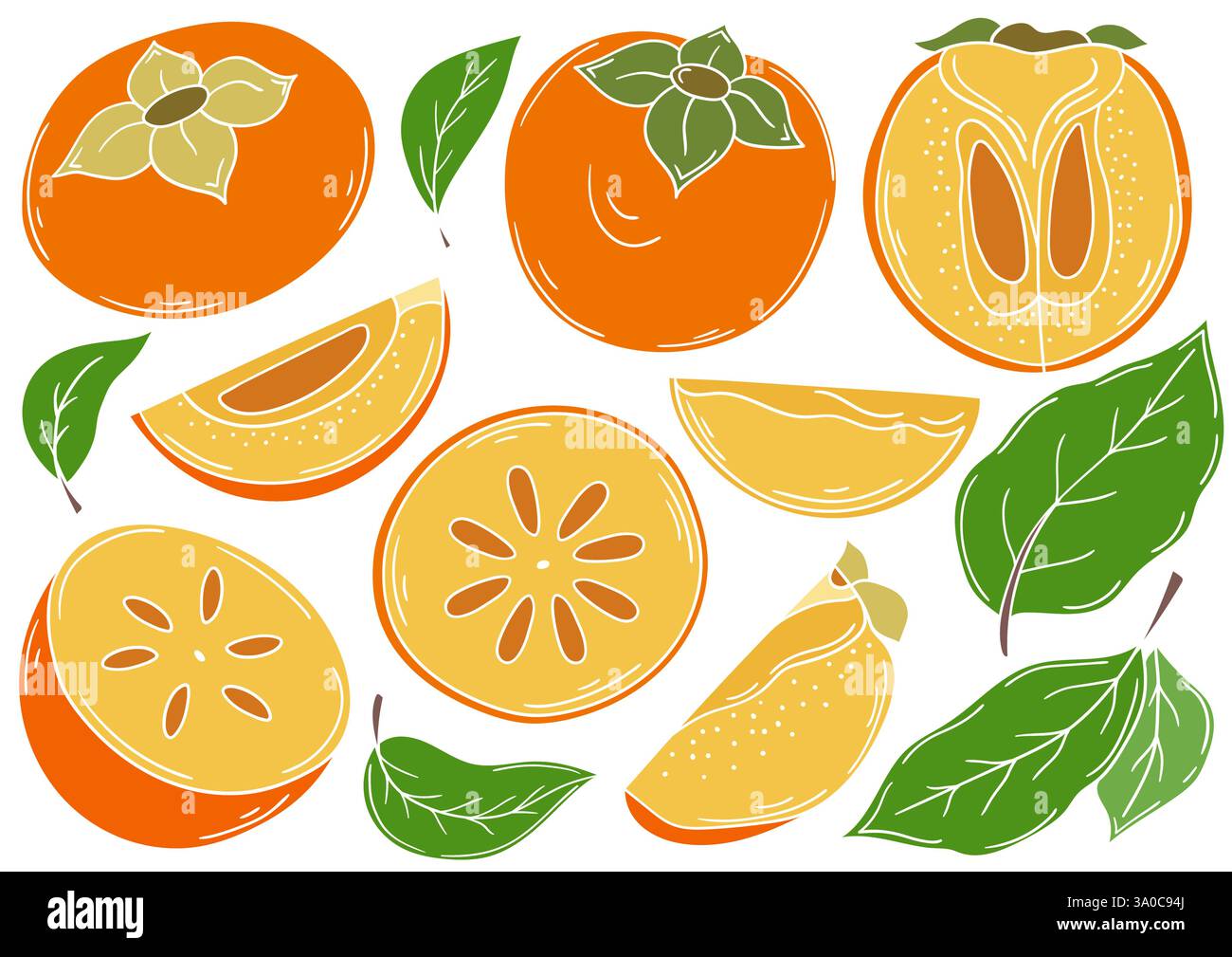 Persimmon. Set of color illustrations in hand draw style. White outline ...