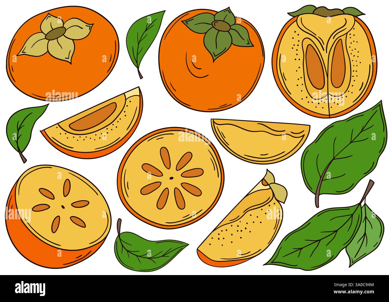 Persimmon. Set of color illustrations in hand draw style. Design for ...