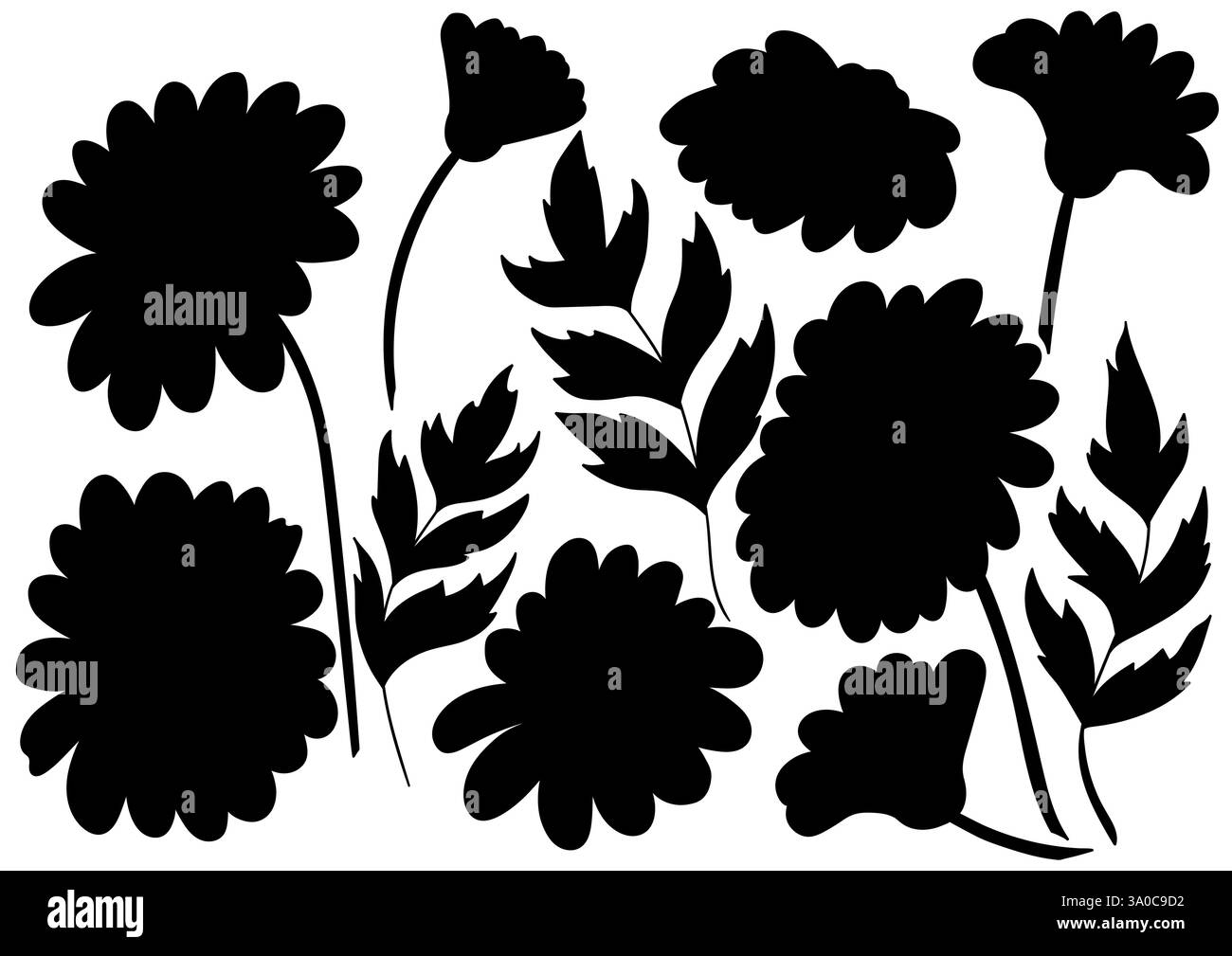 Chamomile, daisy. Set of silhouettes in hand draw style. Design for ...