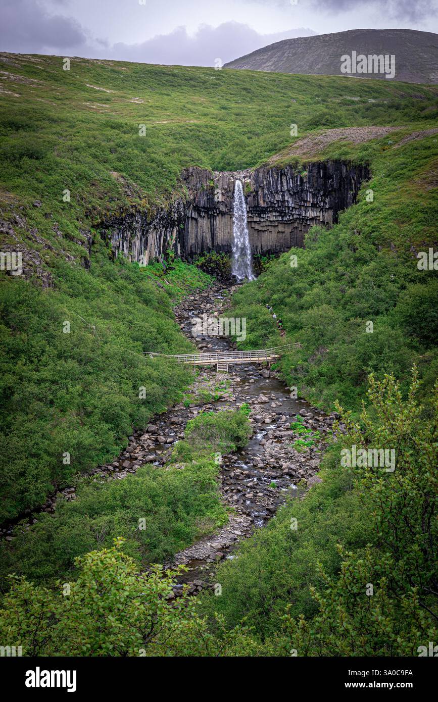 Waterfall cascading down basalt columns in iceland's green landscape ...