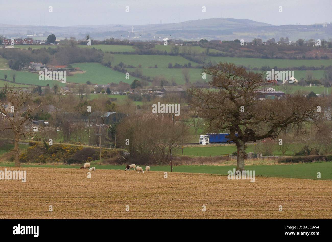 Moira, County Down, Northern Ireland, UK. 03 Mar 2025. UK weather - yet ...