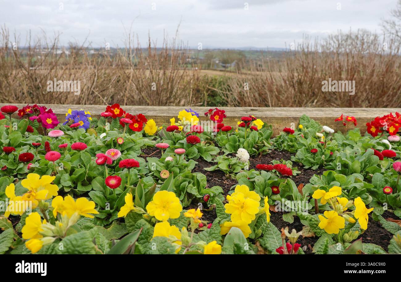 Moira, County Down, Northern Ireland, UK. 03 Mar 2025. UK weather - yet ...
