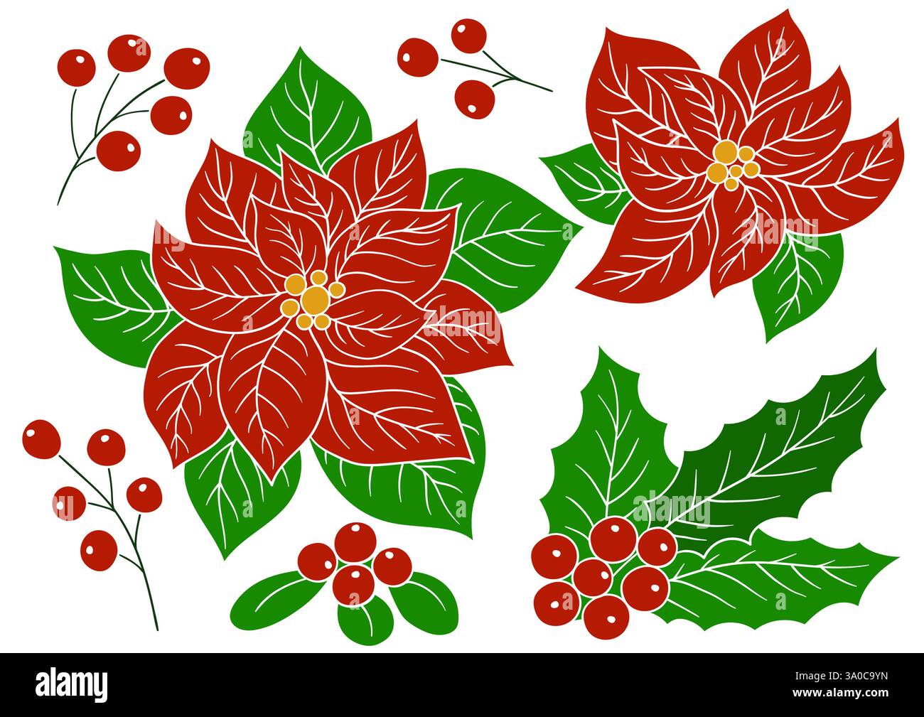 Poinsettia. Set of color illustrations in hand draw style. White ...