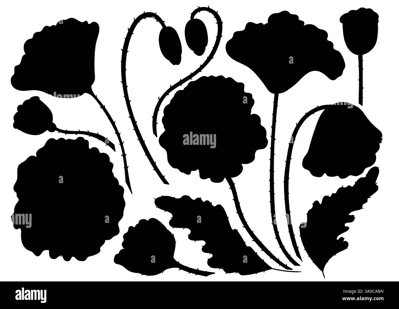 Poppy. Set of silhouettes in hand draw style. Design for riddles ...