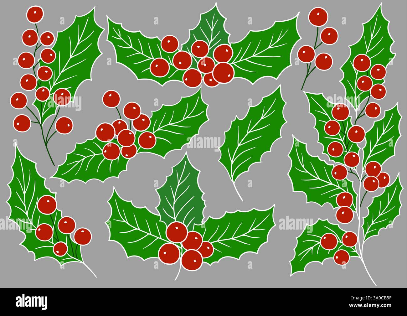 Holly. Set of color illustrations in hand draw style on gray background ...