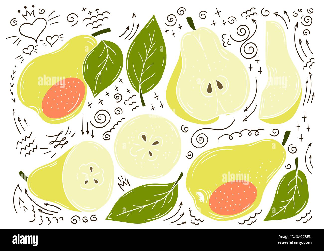 Pear. Set of color illustrations in hand draw style. White outline ...