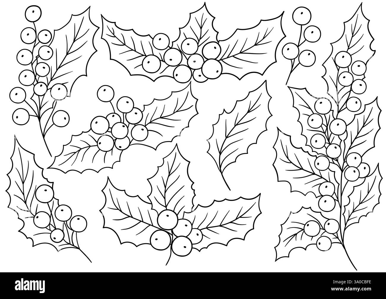Holly. Set of monochrome illustrations in hand draw style. Hand drawn ...