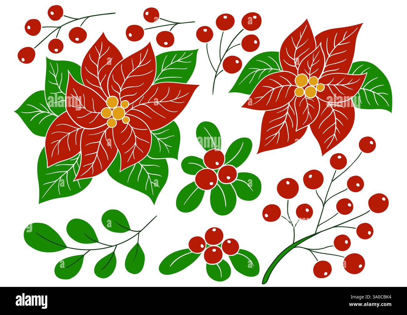 Poinsettia. Set of color illustrations in hand draw style. White ...