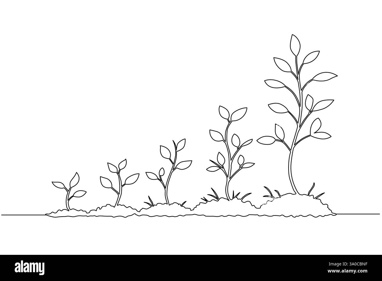 Continuous one-line drawing of plant growth stages and illustration of ...