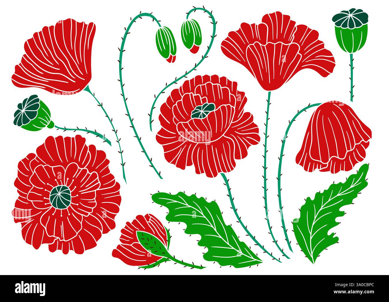 Poppy. Set of color illustrations in hand draw style. White outline ...