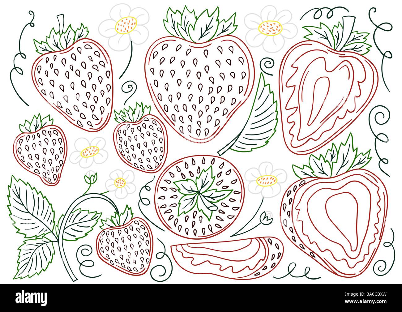 Strawberry. Set of illustrations in hand draw style. Hand drawing ...