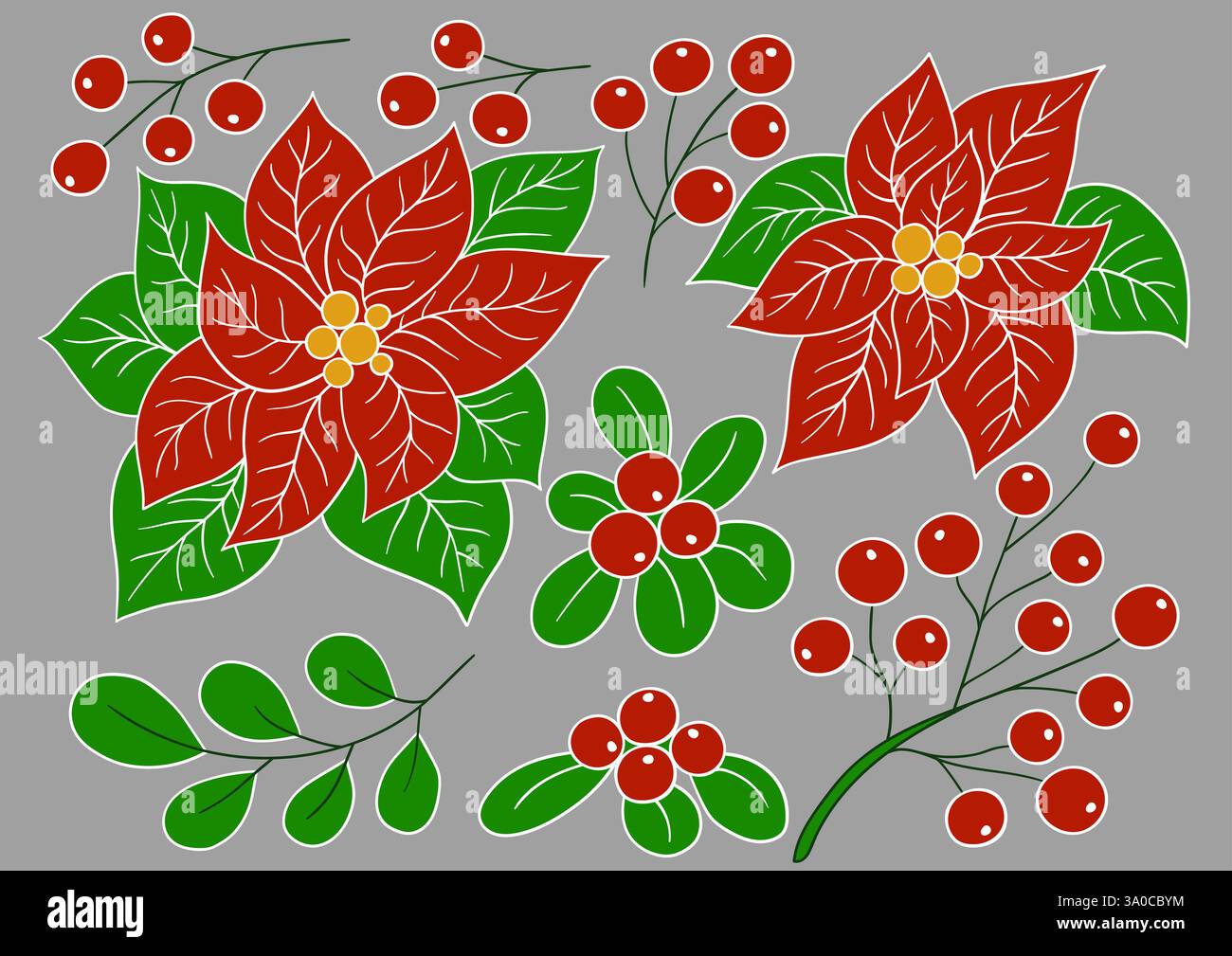 Poinsettia. Set of color illustrations in hand draw style on gray ...