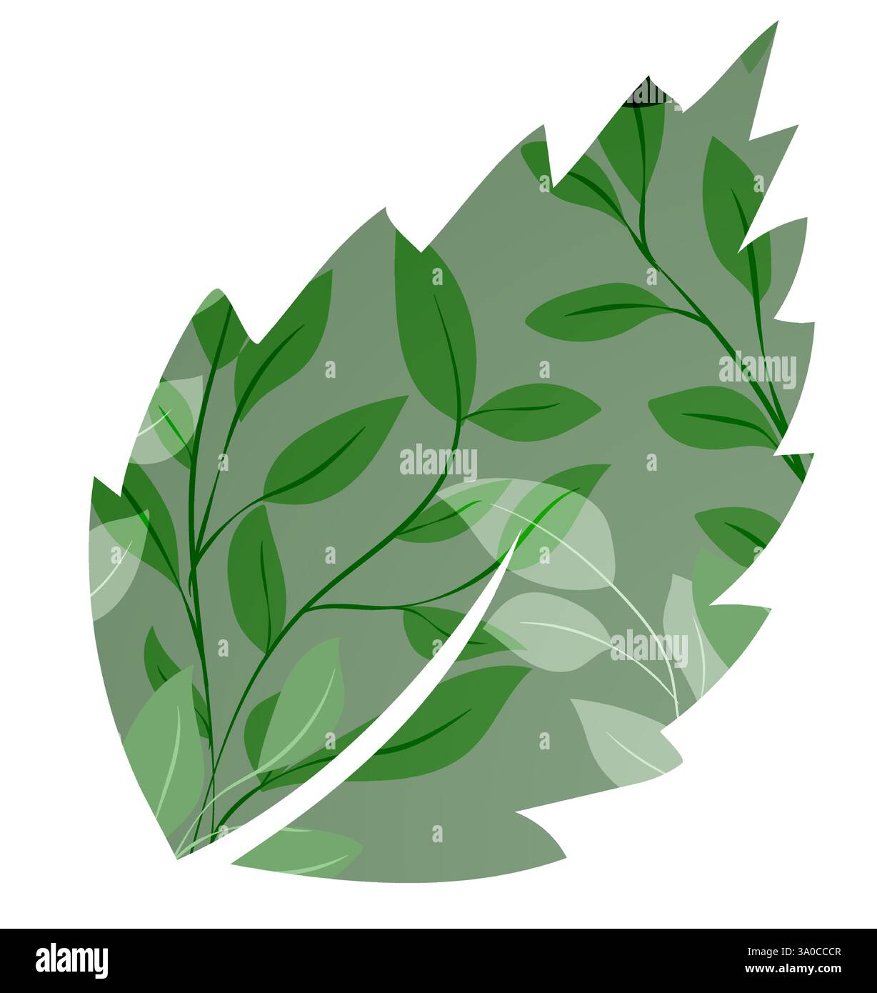 Featuring intricate green leaves Stock Vector Images - Alamy