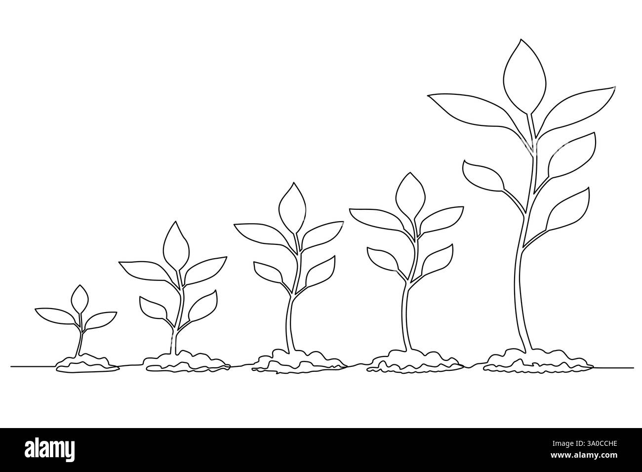 Continuous one-line drawing of plant growth stages and illustration of ...