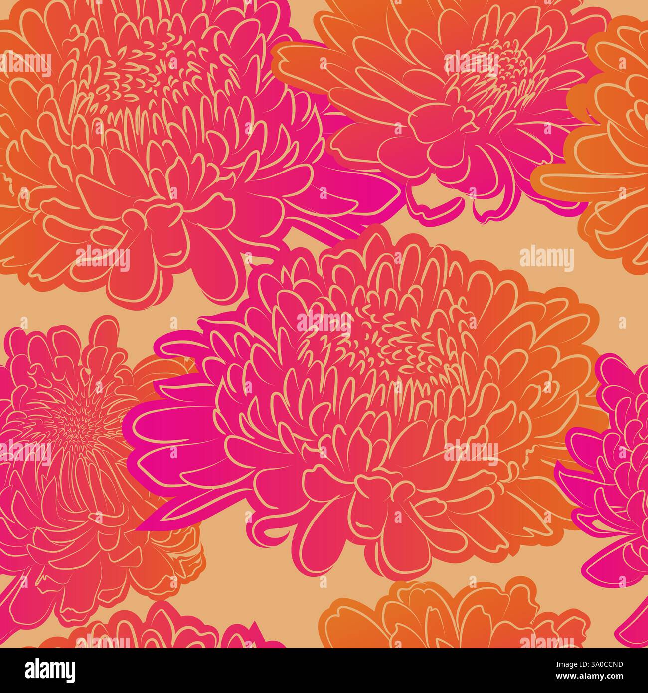 Flowers stylized pink, orange chrysanthemum Spring line illustration ...