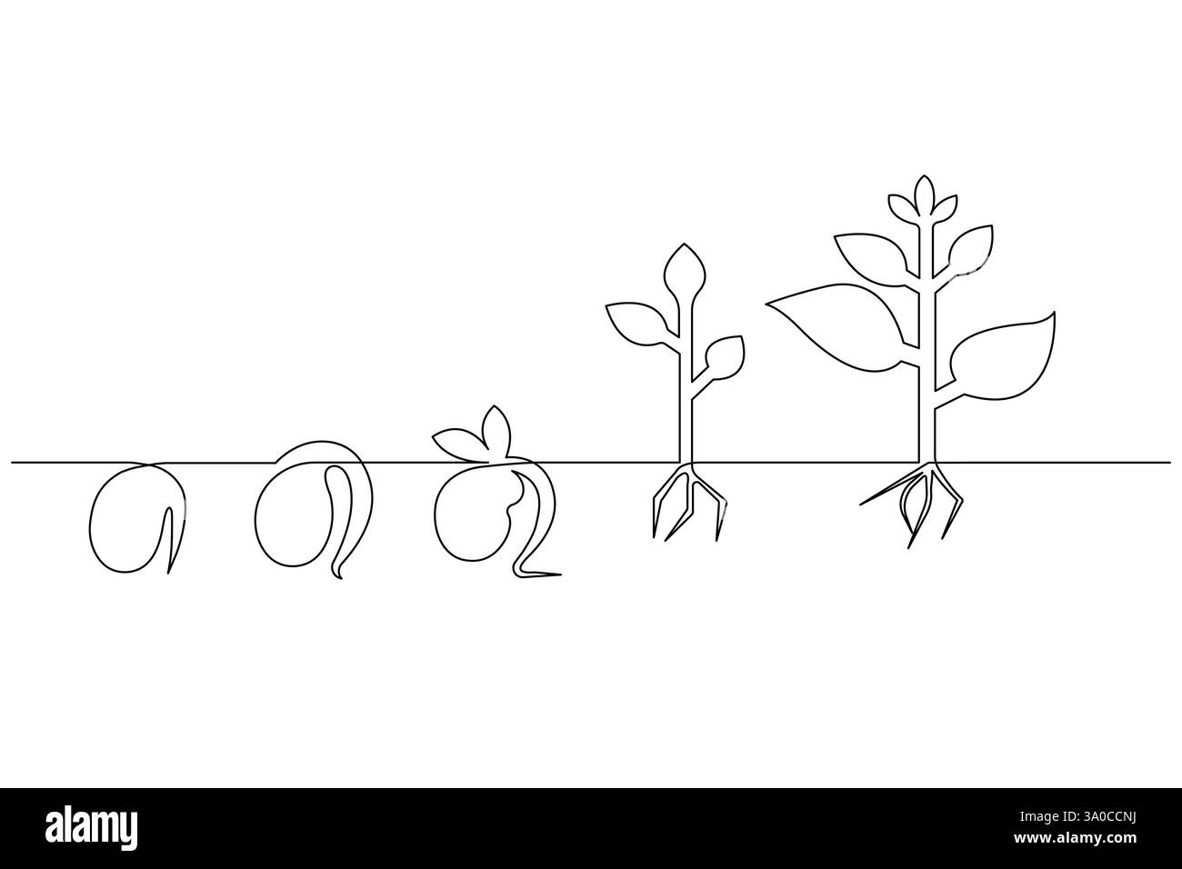 Continuous one-line drawing of plant growth stages and illustration of ...
