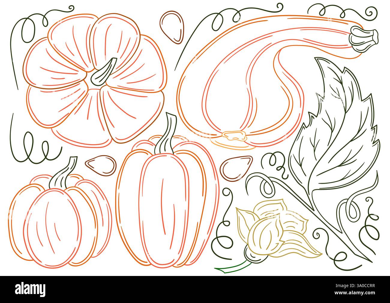 Pumpkin. Set of illustrations in hand draw style. Hand drawing, color ...