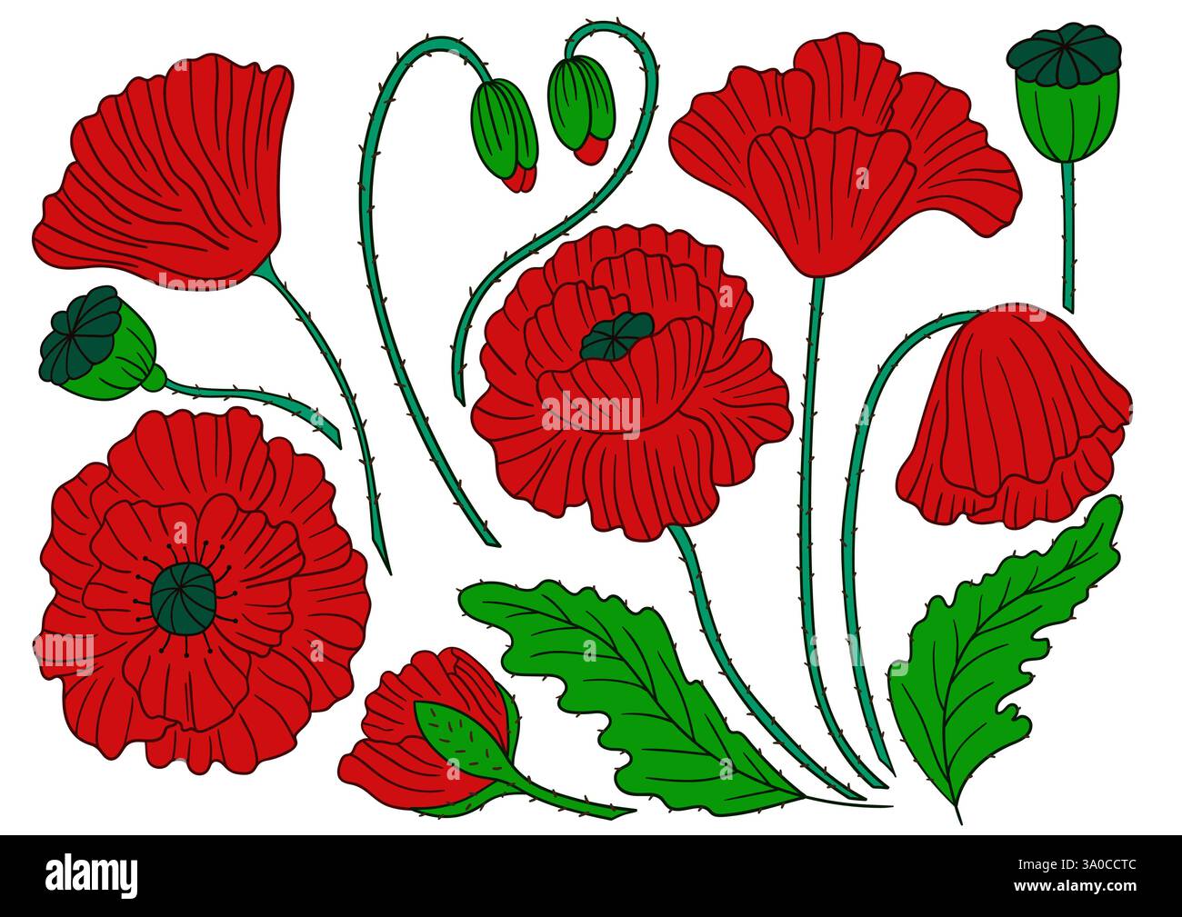Poppy. Set of color illustrations in hand draw style. Design for ...