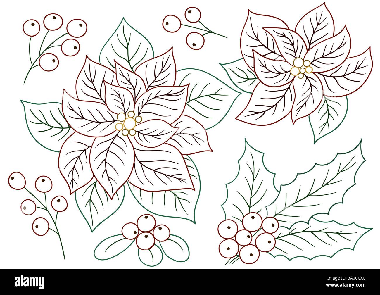 Poinsettia. Set of illustrations in hand draw style. Hand drawn, color ...