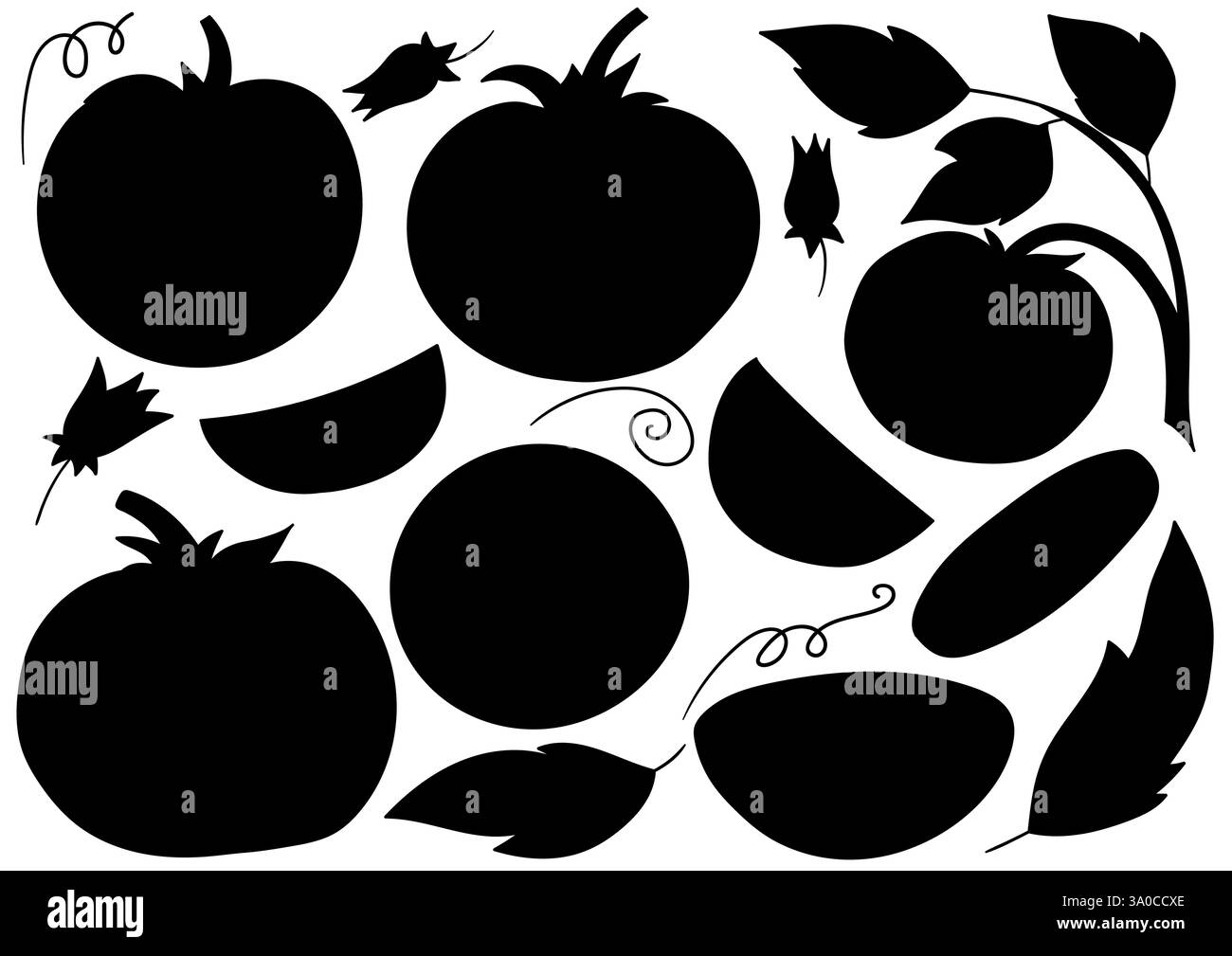 Tomato. Set of silhouettes in hand draw style. Design for riddles ...