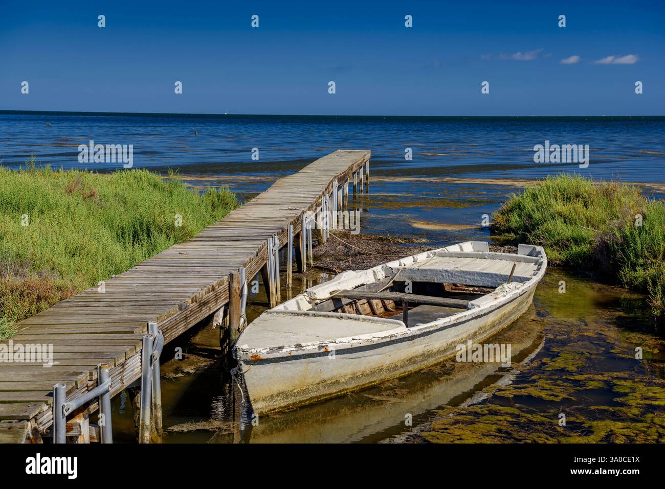 Muelle del delta hi-res stock photography and images - Alamy