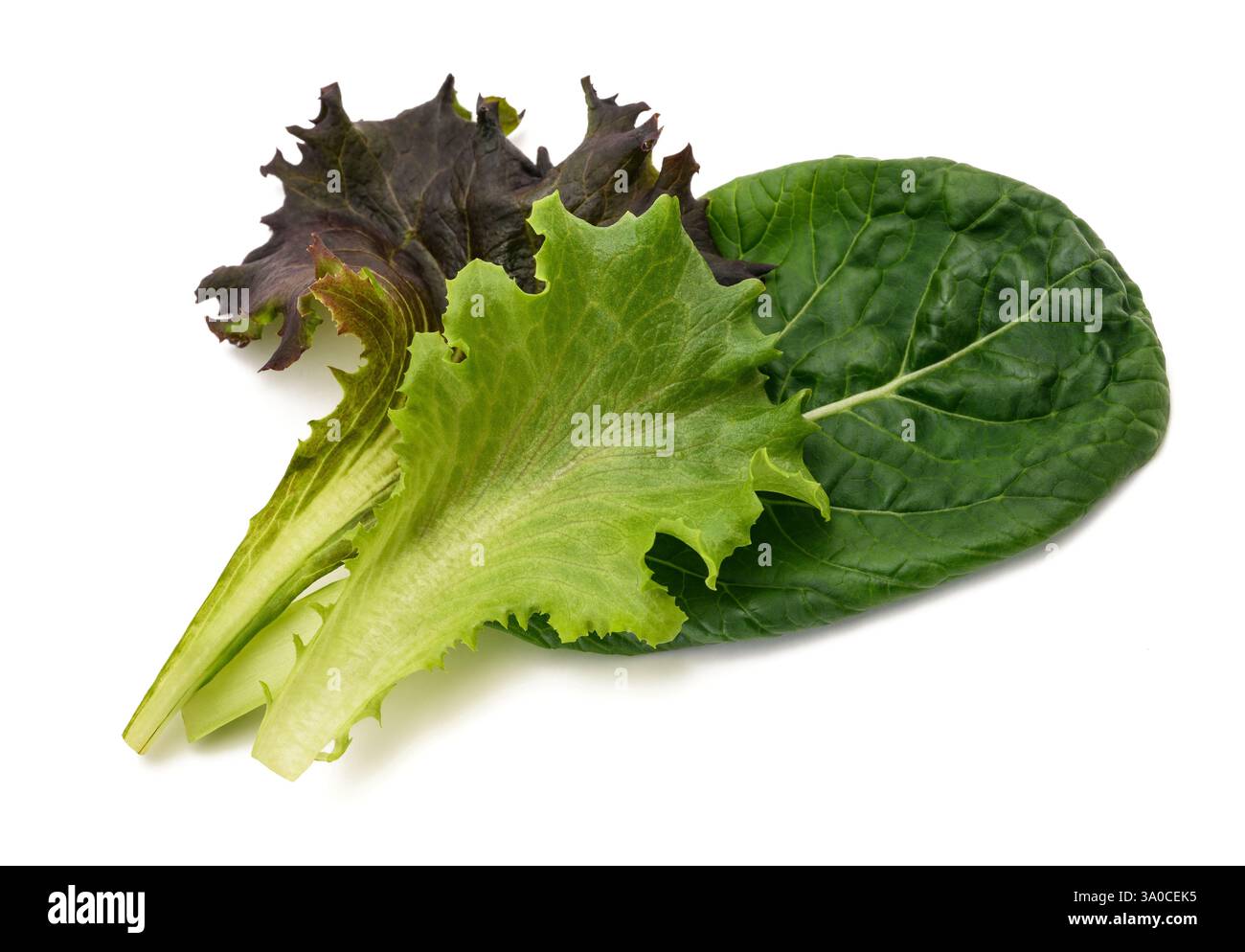 Lettuce leaves mix isolated on white background Stock Photo - Alamy