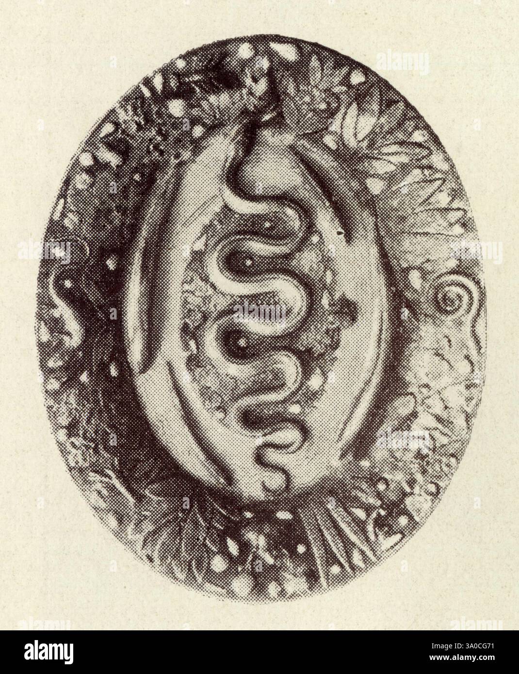 Plat. Par Bernard Palissy Stock Photo - Alamy