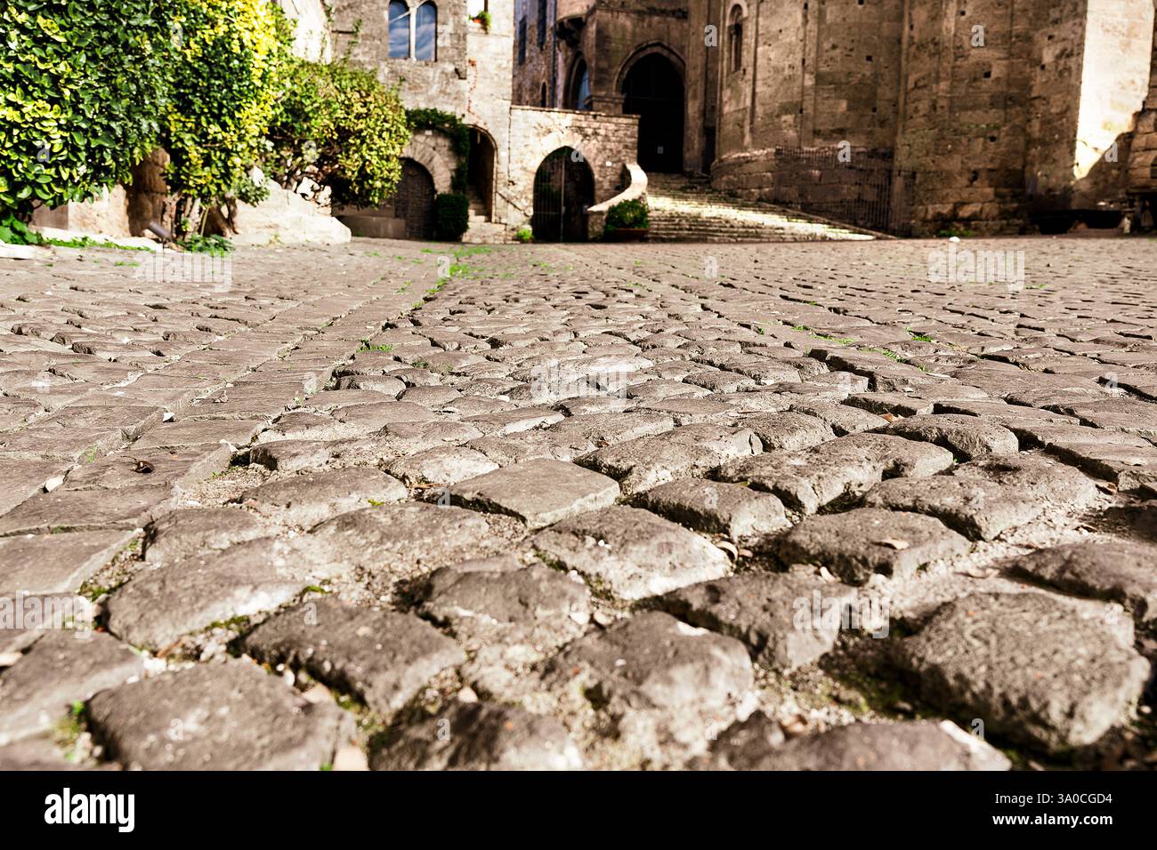 Ground-level view of the cobblestone pavement of a street at the foot ...